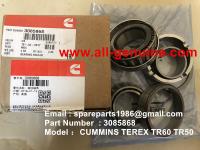 China TEREX 3085868 BEARING ROLLER NHL MINING DUMP TRUCK TR35 TR50 TR60 TR100 3305B 3305F 3303 3307 TR45 TR70 MT4400 for sale