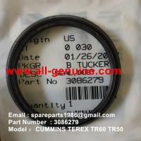 China TEREX 3086279 SEAL DUST NHL MINING DUMP TRUCK TR35 TR50 TR60 TR100 3305B 3305F 3303 3307 TR45 TR70 MT4400 for sale