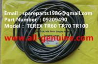 China 09209490 O RING TEREX MINING NHL DUMP TRUCK TR35 TR50 TR60 TR100 3305B 3305F 3303 3307 TR45 TR70 MT4400  ALLISON for sale
