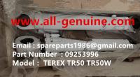 China 9253996 CYLINDER TEREX DUMP TRUCK TR35 TR50 TR60 TR100 3305B 3305F 3303 3307 TR45 TR70  ALLISON UNIT RIG MT4400 for sale