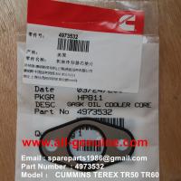 China TEREX 4973532 GASKET NHL MINING DUMP TRUCK TR35 TR50 TR60 TR100 3305B 3305F 3303 3307 TR45 TR70 MT4400 for sale