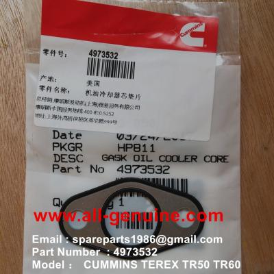 China TEREX 4973532 GASKET NHL MINING DUMP TRUCK TR35 TR50 TR60 TR100 3305B 3305F 3303 3307 TR45 TR70 MT4400 for sale
