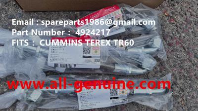 China 4924217  TEREX NHL MINING DUMP TRUCK TR35 TR50 TR60 TR100 3305B 3305F 3303 3307 TR45 TR70 MT4400 for sale