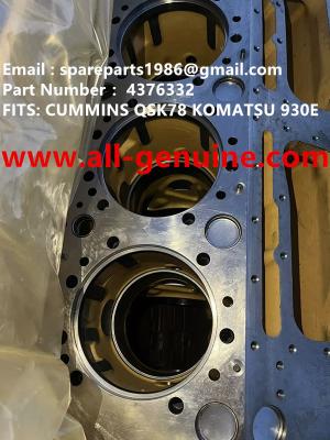 China 4376332 CYLINDER QSK78 GE TEREX UNIT RIG BUCYRUS  MT4400AC MT5500 MT3600 NTE240 NTE260 NHL DUMP TRUCK HAULER MINING for sale