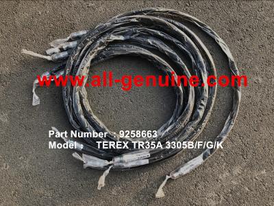 China TEREX 09258663 HOSE NHL MINING DUMP TRUCK TR35 TR50 TR60 TR100 3305B 3305F 3303 3307 TR45 TR70 MT4400 for sale