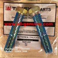 China TEREX 15251433 BOLT  NHL MINING DUMP TRUCK TR35 TR50 TR60 TR100 3305B 3305F 3303 3307 TR45 TR70 MT4400 for sale