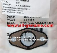 China TEREX 4101869 GASKET  NHL MINING DUMP TRUCK TR35 TR50 TR60 TR100 3305B 3305F 3303 3307 TR45 TR70 MT4400 for sale