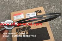 China TEREX 216484 DIPSTICK NHL MINING DUMP TRUCK TR35 TR50 TR60 TR100 3305B 3305F 3303 3307 TR45 TR70 MT4400 for sale