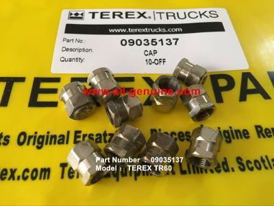 China TEREX 09035137 CAP NHL DUMP TRUCK MINING QUARRY TR50 TR60 TR70 for sale