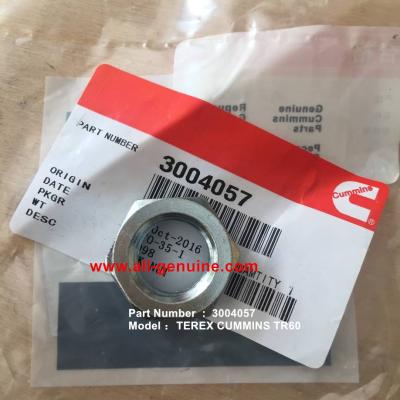 China CUMMINS ENGINE TEREX 3004057 LOCK NUT NHL DUMP TRUCK MINING QUARRY TR45 TR50 TR60 TR70 for sale