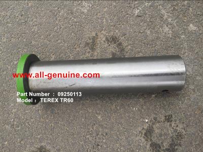 China TEREX 09250113 PIN ASSY NHL DUMP TRUCK MINING QUARRY TR50 TR60 TR70 for sale