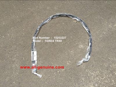 China TEREX 15253227 HOSE ASSY NHL DUMP TRUCK MINING QUARRY TR50 TR60 TR70 for sale