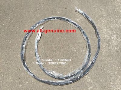 China TEREX 15300403 HOSE ASSY NHL DUMP TRUCK MINING QUARRY TR45 TR50 TR60 TR70 for sale
