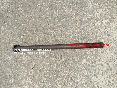 China TEREX 09153231 BOLT NHL DUMP TRUCK MINING QUARRY TR45 TR50 TR60 TR70 for sale