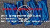 China XA4289 WHEEL MOTOR GE 5GEB25A KOMATSU 730E 830E  TEREX UNIT RIG BUCYRUS MT4400AC MT5500 MT3600 NTE240 NTE260 for sale