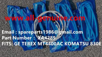 China XA4289 WHEEL MOTOR GE 5GEB25A KOMATSU 730E 830E  TEREX UNIT RIG BUCYRUS MT4400AC MT5500 MT3600 NTE240 NTE260 for sale