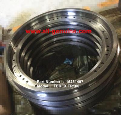 China TEREX 15231497 PISTON NHL DUMP TRUCK MINING QUARRY TR50 TR60 TR70 TR100 for sale