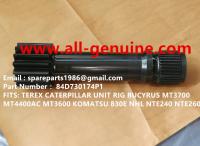 China 84D730174P1 SUN PINION GE TEREX UNIT RIG BUCYRUS  MT4400AC MT5500 MT3600 NTE240 NTE260 NHL DUMP TRUCK HAULER MINING for sale