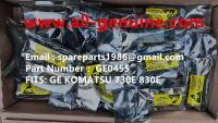 China GE0455 CARD BATTERY MT4400AC MT5500 MT3600 MT3700 MT3300 TEREX UNIT RIG BUCYRUS NTE240 NTE260 WHEEL MOTOR DRIVE GE for sale