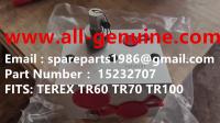 China 15232707 MAINFOLD HOIST KOMATSU 730E 830E 930E 960E MINING DUMP TRUCK WHEEL MOTOR DRIVE GE for sale