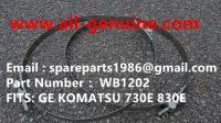 China WB1202 CLAMP NHL NTE200 NTE240 KOMATSU 730E 830E 930E 960E MINING DUMP TRUCK WHEEL MOTOR DRIVE GE for sale