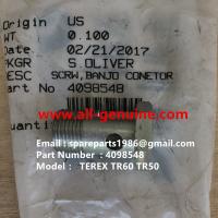 China TEREX 4098548 SCREW DUMP TRUCK NHL TR35 TR50 TR60 TR100 3305B 3305F 3303 3307 TR45 TR70 MT4400  ALLISON for sale