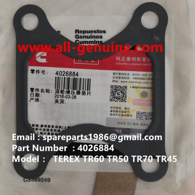 China TEREX  4026884 GASKET MINING  NHL DUMP TRUCK TR35 TR50 TR60 TR100 3305B 3305F 3303 3307 TR45 TR70 MT4400 for sale