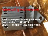 China 15233274 PLATE TEREX NHL DUMP TRUCK TR35 TR50 TR60 TR100  ALLISON UNIT RIG MT4400 MT3600 MT3300 MT3700 SANY for sale