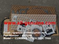 China TEREX 4955590 LOWER GASEKT  NHL MINING DUMP TRUCK TR35 TR50 TR60 TR100 3305B 3305F 3303 3307 TR45 TR70 MT4400 for sale