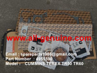 China TEREX 4955590 LOWER GASEKT  NHL MINING DUMP TRUCK TR35 TR50 TR60 TR100 3305B 3305F 3303 3307 TR45 TR70 MT4400 for sale