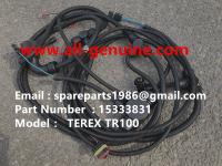 China 15333831 HARNESS TEREX NHL DUMP TRUCK MINING TA40 TR50 TR60 TR70 TR100  MT4400 MT3600 MT3700 MT5500 GE NTE240 NTE260 for sale