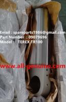 China 09079696 PISTON TEREX NHL DUMP TRUCK MINING TA40 TR50 TR60 TR70 TR100  MT4400 MT3600 MT3700 MT5500 GE NTE240 NTE260 for sale