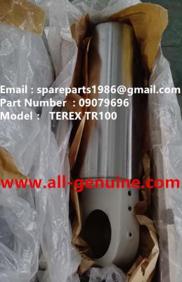 China 09079696 PISTON TEREX NHL DUMP TRUCK MINING TA40 TR50 TR60 TR70 TR100  MT4400 MT3600 MT3700 MT5500 GE NTE240 NTE260 for sale