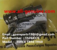 China 15268375 REPAIR KIT TEREX NHL DUMP TRUCK TA40 TR50 TR60 TR70 TR100  MT4400 MT3600 MT3700 MT5500 GE NTE240 NTE260 for sale