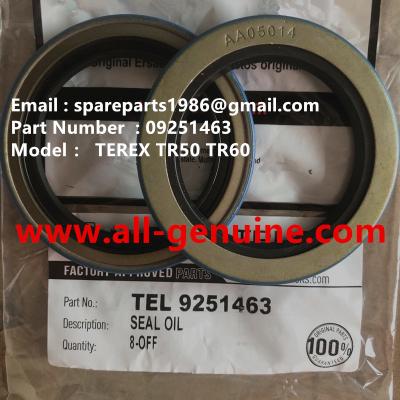 China 09251463 SEAL TEREX NHL DUMP TRUCK TA40 TR50 TR60 TR70 TR100  MT4400 MT3600 MT3700 MT5500 GE NTE240 NTE260 for sale
