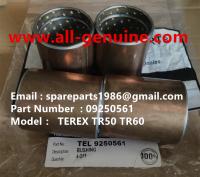 China 09250561 BUSHING TEREX NHL DUMP TRUCK TA40 TR50 TR60 TR70 TR100  MT4400 MT3600 MT3700 MT5500 GE NTE240 NTE260 for sale