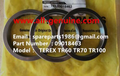 China 09018463 RING TEREX DUMP TRUCK  TA40 TR50 TR60 TR70 TR100A MT4400 MT3600 MT3700 MT5500 GE NTE240 NTE260 for sale