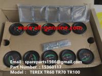 China 15360117 GAUGE TEREX DUMP TRUCK  TA40 TR50 TR60 TR70 TR100A MT4400 MT3600 MT3700 MT5500 GE NTE240 NTE260 for sale