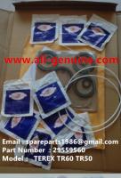 China 29559560 REPAIR KIT ALLISON TEREX DUMP TRUCK  TA40 TR50 TR60 TR70 TR100A MT4400 MT3600 MT3700 MT5500 GE NTE240 NTE260 for sale