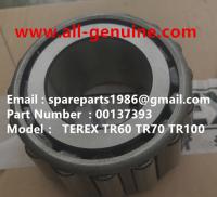 China 00137393 BEARING TEREX DUMP TRUCK  TA40 TR50 TR60 TR70 TR100A MT4400 MT3600 MT3700 MT5500 GE NTE240 NTE260 for sale