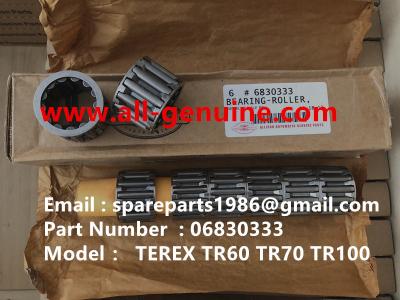 China TEREX 06830333 BEARING ALLISON TRANSMISSION TIMKEN CUMMINS NHL RIGID DUMP TRUCK TR35 TR50 TR60 TR100 for sale