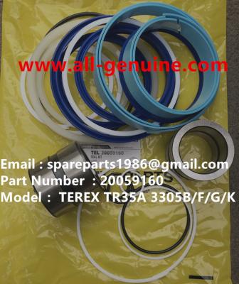 China 20059160 SERIVCE KIT TEREX TIMKEN CUMMINS NHL RIGID DUMP TRUCK TR35 TR50 TR60 TR100 for sale
