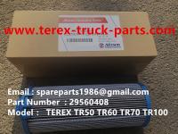 China TEREX 29560408 ELEMENT SKF FAG KOYO  QUARRY NHL RIGID DUMP TRUCK TR35 TR50 TR60 TR100 3303 3305B 3307 3311 for sale
