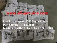 China TEREX 15271389 BRAKE SEAL KIT SKF FAG KOYO  QUARRY NHL RIGID DUMP TRUCK TR35 TR50 TR60 TR100 3303 3305B 3307 3311 for sale