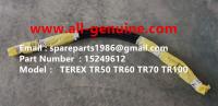 China TEREX 15249612 CABLEALLISON NTE200 NHL RIGID DUMP TRUCK TR35 TR50 TR60 TR100 3303 3305B 3307 3311 for sale