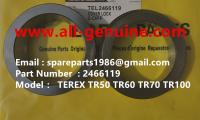 China TEREX 2466119 COVER LOCK ALLISON NTE200 NHL RIGID DUMP TRUCK TR35 TR50 TR60 TR100 3303 3305B 3307 3311 for sale