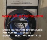 China TEREX 15500959 SERVICE KIT OFF HIGHWAY NHL DUMP TRUCK TR35 TR50 TR60 TR100 3305B 3305F 3303 3307 TR45 TR70 MT4400 for sale
