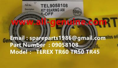 China TEREX 09058108 BEARING KIT  OFF HIGHWAY NHL DUMP TRUCK TR35 TR50 TR60 TR100 3305B 3305F 3303 3307 TR45 TR70 MT4400 for sale