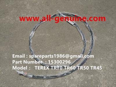 China TEREX 15300296 HOSE ASSY OFF HIGHWAY NHL DUMP TRUCK TR35 TR50 TR60 TR100 3305B 3305F 3303 3307 TR45 TR70 MT4400 for sale