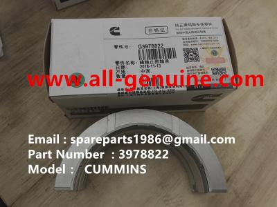 China 3978822 MAIN BEARING  ENGINE TEREX NHL DUMP TRUCK  TR35 TR50 TR60 TR100 3305B 3305F 3303 3307 TR45 TR70 MT4400 for sale